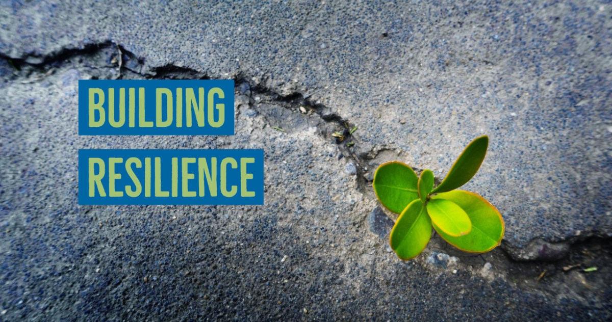 How to Cultivate Your Resilience – Positive Tenacity